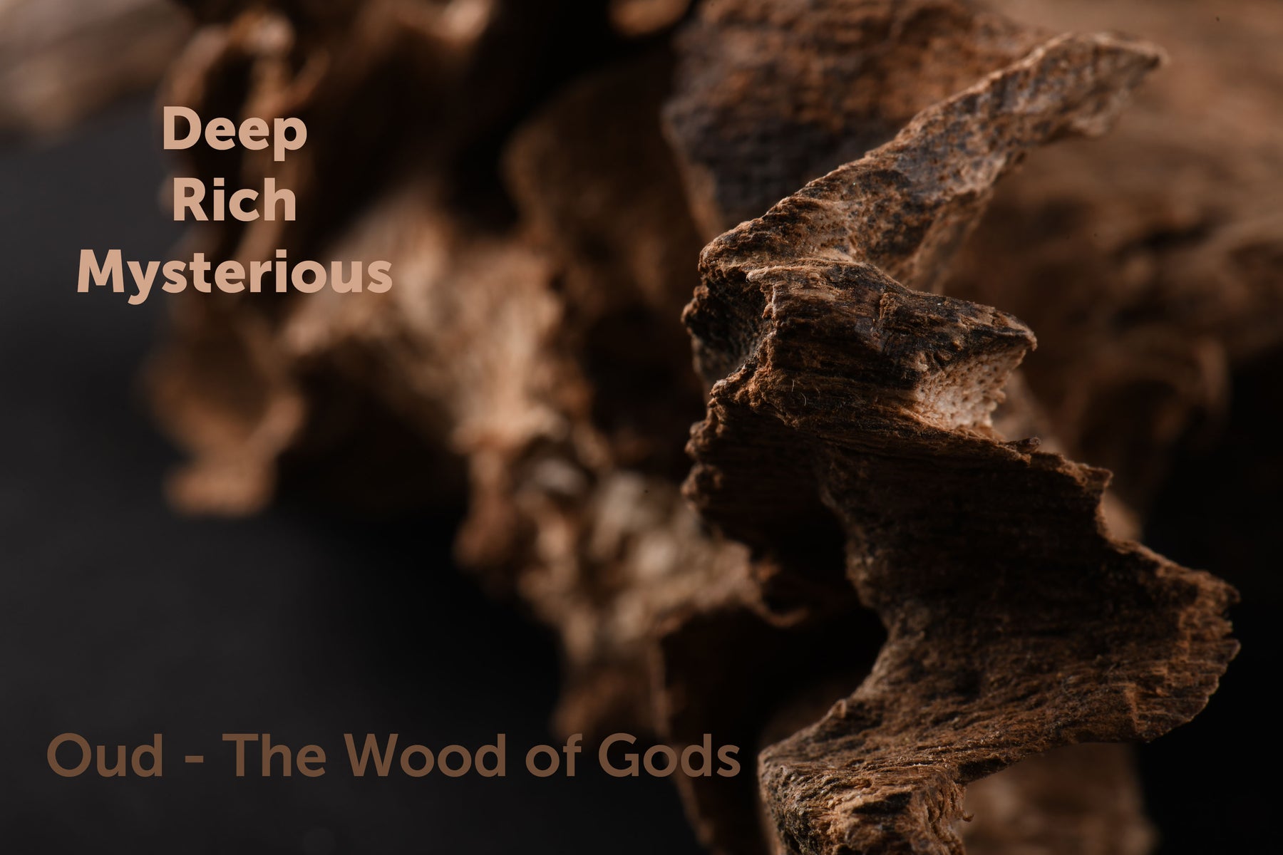 Luxury Oud Perfume Collection | Best Oud Fragrance for Men & Women ...